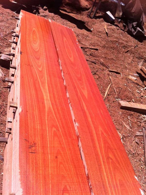 Jarrah boards | jarrah fencing | marri | marri timber | harwood ...