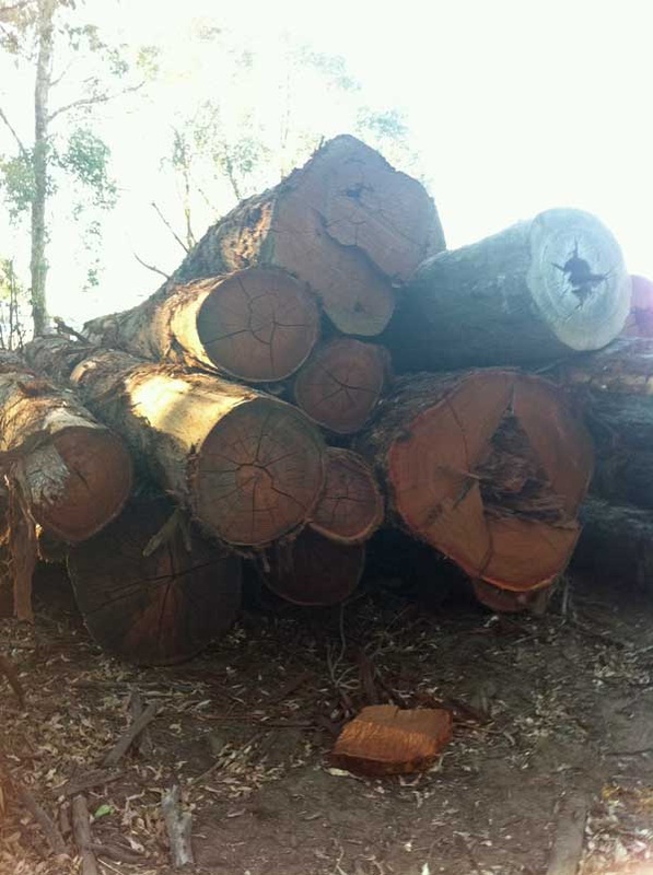 Jarrah boards | jarrah fencing | marri | marri timber | harwood ...